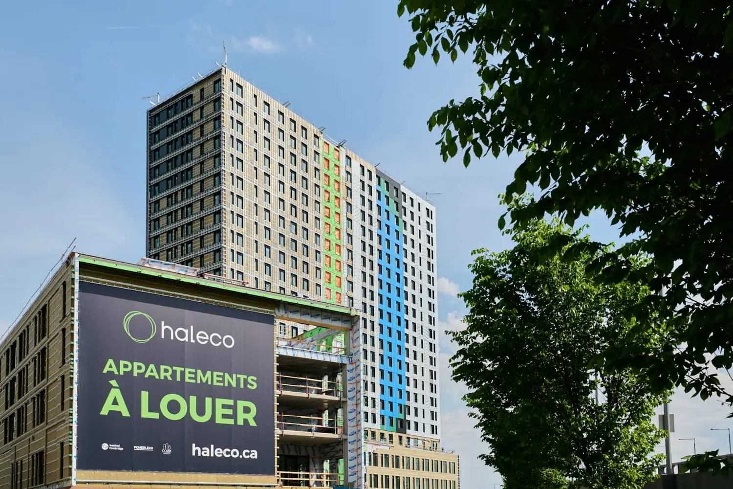 Le déménagement efficace et responsable selon Haleco - Haleco - Studios ...